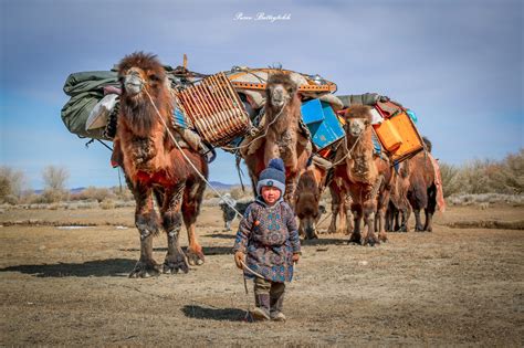 Сайхан Монгол өв соёлоороо дээдлэе УВС АЙМАГ 100 ЖИЛ Facebook