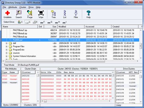 Briggs Softworks Directory Snoop File Recovery And Wiping Software For Windows