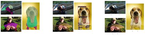 논문 리뷰 Wps Sam Towards Weakly Supervised Part Segmentation With