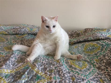 Lovely Lilly Rdelightfullychubby