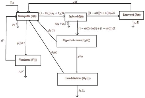 Cholera Transmission Model With Different Interventions Download Scientific Diagram