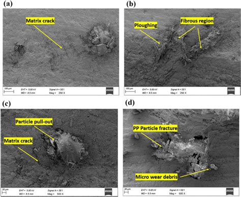 What Is Abrasive Cytology At Georgia Kirsova Blog