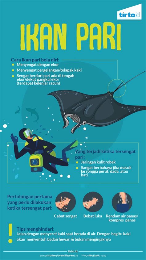 Bahaya Sengatan Ikan Pari Gunnerfvhanson