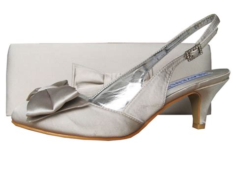 Pale Silver Ladies Shoes And Matching Bag