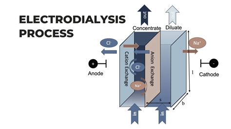 How To Improve Electrodialysis Membrane Durability