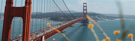 How Open Connectors Fit Into SAP Integration Suite The World Management