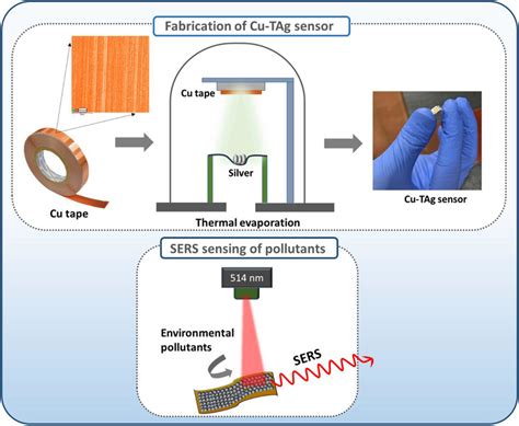 Schematic Representation Of Cu Tag Sensor Fabrication For Sers Download Scientific Diagram