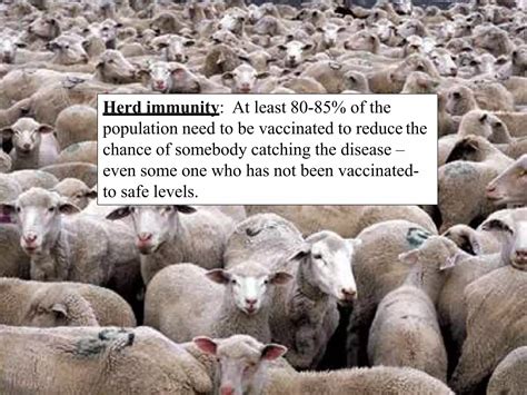 Active And Passive Immunization Pptx