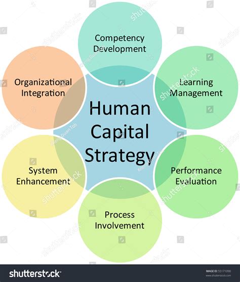 Human Capital Business Diagram Management Strategy Stock Illustration