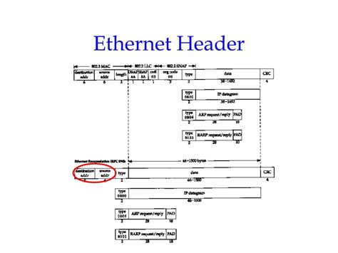 Ppt Introduction To Networking And Tcp Ip Powerpoint Presentation
