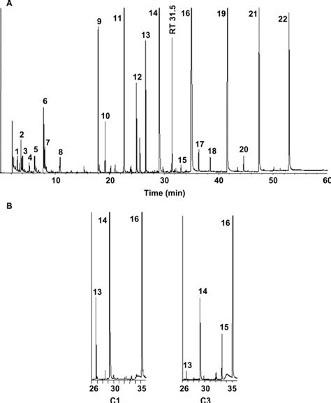 Solid Phase Microextraction Gc Ms Profiles Of Caciotta Cheese Samples Download Scientific