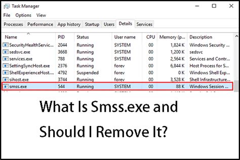 viewing executable exe files on linux a step by step guide