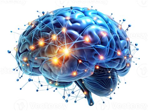 Cognitive Processes Via Neural Network 52648743 Png