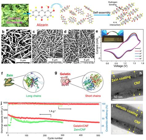Biomolecules Are Extracted To Form 1d Nanostructures A Self Assembly Download Scientific