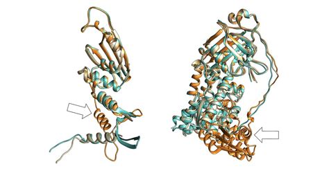 Basecamp Research Launches Basefold A Breakthrough In 3d Protein