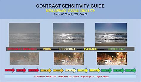 Add Contrast Sensitivity Testing For Amd Optometric Management