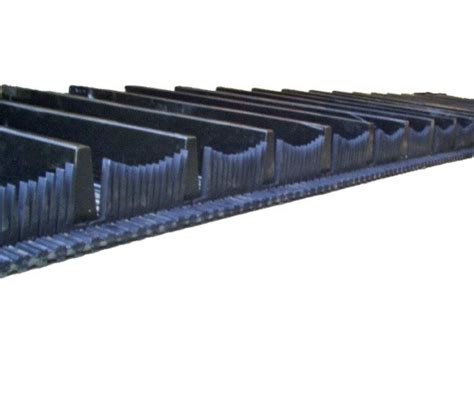 Active Side Conveyor HBS Wild