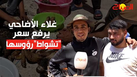 شباب عنتشواط رؤوس الأضاحي بأحياء البيضاء زدنا فالثمن حيث زادو