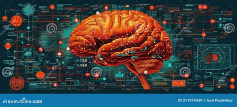 Technorelief Of The Brain An Engineering Sketch With Artificial