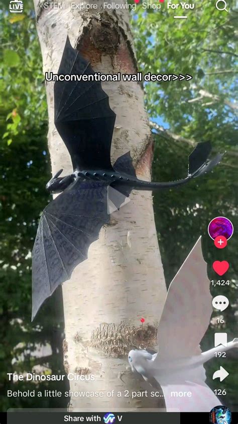 Pin By Briana Pope On Toothless In 2025 How Train Your Dragon How To Train Your Dragon How