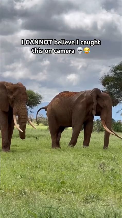 Bro Lost In Dimensions R Thecontentfarm