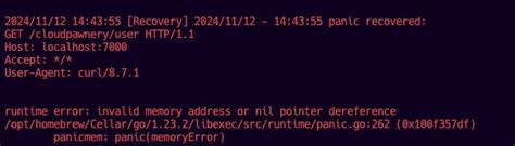 Liran Tal On Linkedin Baptism By Fire The Golang Version 👇