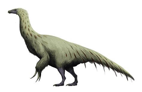 Top 10 Most Famous Asian Dinosaurs Dinosaur Universe