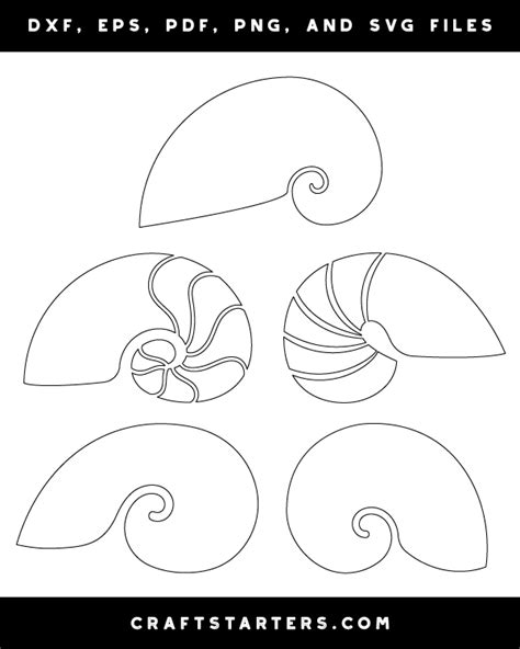 Nautilus Shell Outline Patterns Dfx Eps Pdf Png And Svg Cut Files