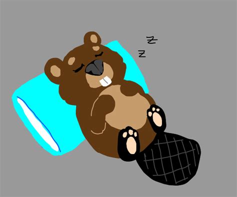 Sleeping Beaver Drawception