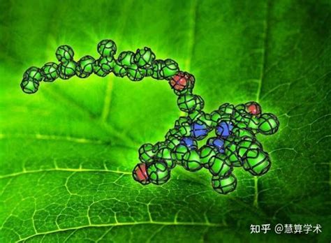 计算知多少：量子化学 激发态丨慧算学术 知乎