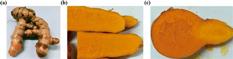 Table 1 From Extraction Isolation And Component Analysis Of Turmeric