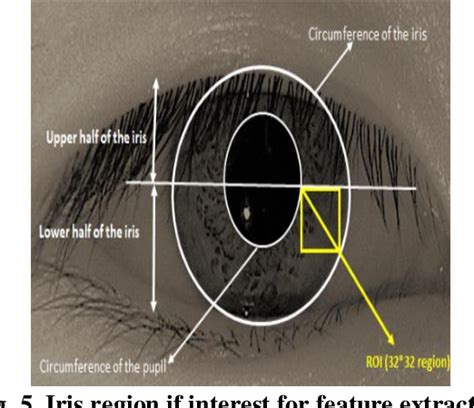 Figure 5 From Feature Level Fusion Of Iris And Finger Vein Biometrics