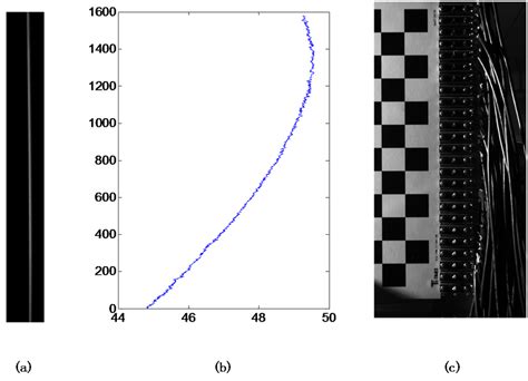 The Line Images Captured By The Ccd Camera A Image Captured By The Download Scientific