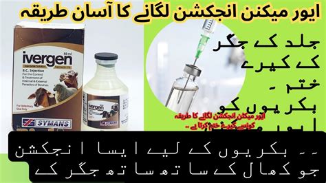 Ivergen The Correct Use Of Ivermectin Ivomec Ivotek Injection In