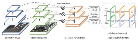 Network Architecture Of Proposed Feature Pyramid Sensor Fusion Model