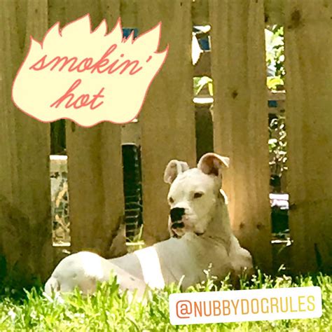 Nubby Bowlin Home Facebook