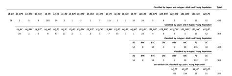 Figure 1 From Morphological Neuron Classification Using Machine Learning Semantic Scholar