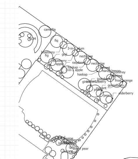 Why Does Sketchup Keep Blocking The Bottom Half Of My Text Sketchup Sketchup Community