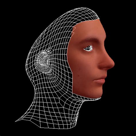 Mesh Selection Features
