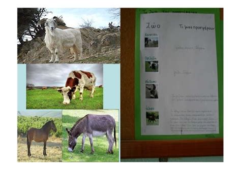 ζώα υπό εξαφάνιση γ2 ζιώγας χρήστος