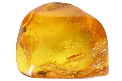 Fossil Pseudoscorpion Arachnid Preserved In Baltic Amber 94019 For Sale