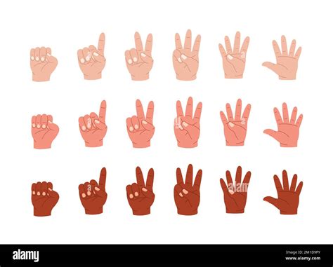 Hands Count Cartoon Multiracial Human Palm Gestures Showing Numbers By