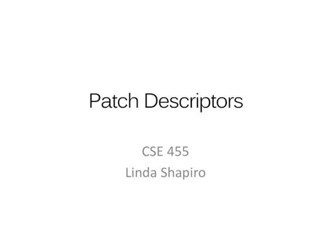 PDF Patch Descriptors Simpler But Less Powerful Texture And Shape Descriptors Are Also