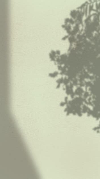 Premium Photo Untitled Artworkabstract Background With Spotlight Effect And Tropical Leaves