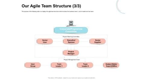 Agile Prioritization Methodology Our Agile Team Structure Committee Ppt Ideas Graphics Pdf