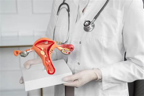 Adenomyosis Symptoms Causes And Treatment Options Florence