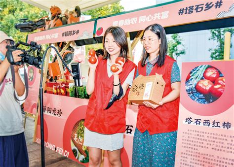 “新农飞地”助农共富