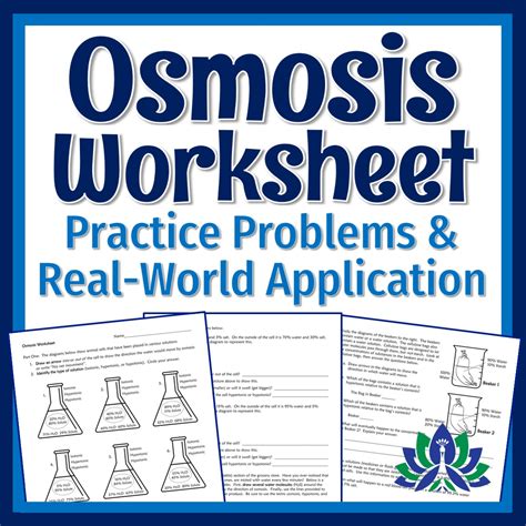 Osmosis Worksheet Flying Colors Science