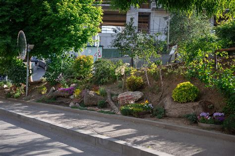 საბურთალოს 🌺🍃 გაზაფხულის დღეები საბურთალოზე 🌿 ადგილობრივი მოსახლეობის ორგანიზებით და