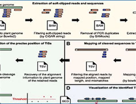 Rare Seq An Ultrasensitive Method For Detection Of Cell Free Rna